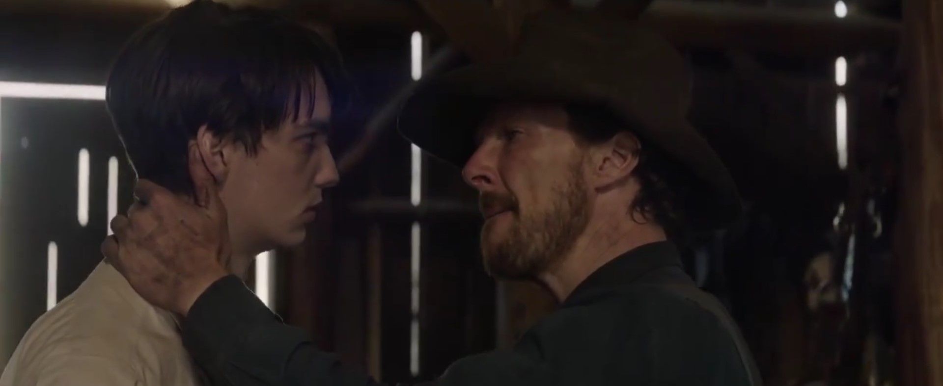 Down, Boy: The Beguiled (Sofia Coppola, 2017) / The Power of the Dog ...